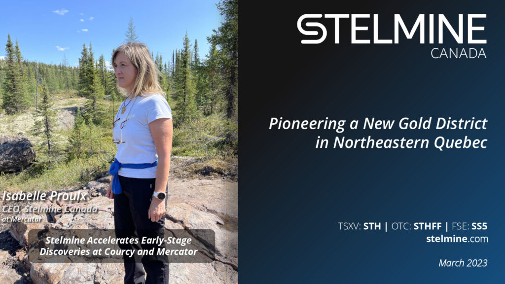 Stelmine.com – Stelmine